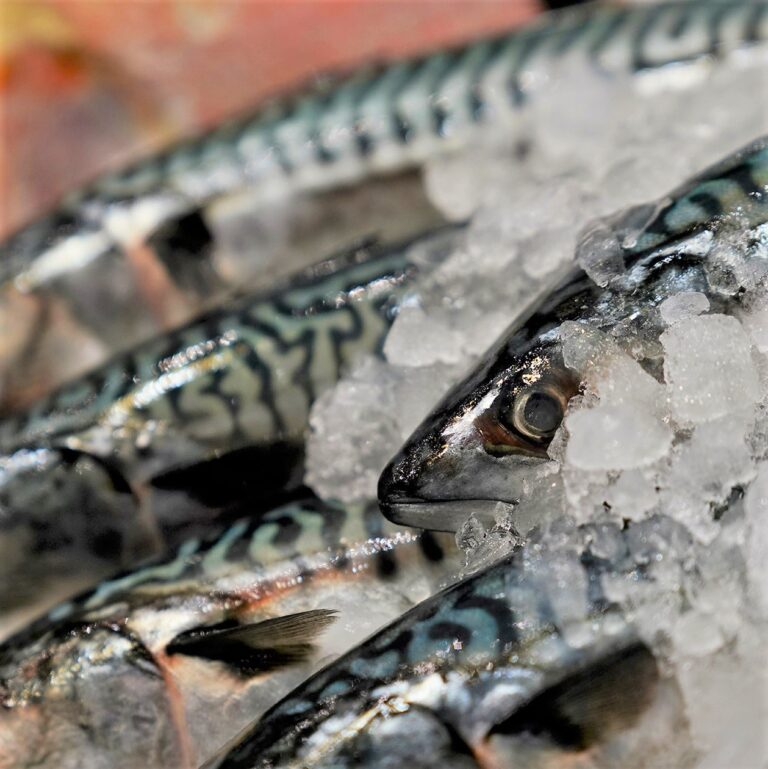 Chester Market Fishmongers - Chester Market