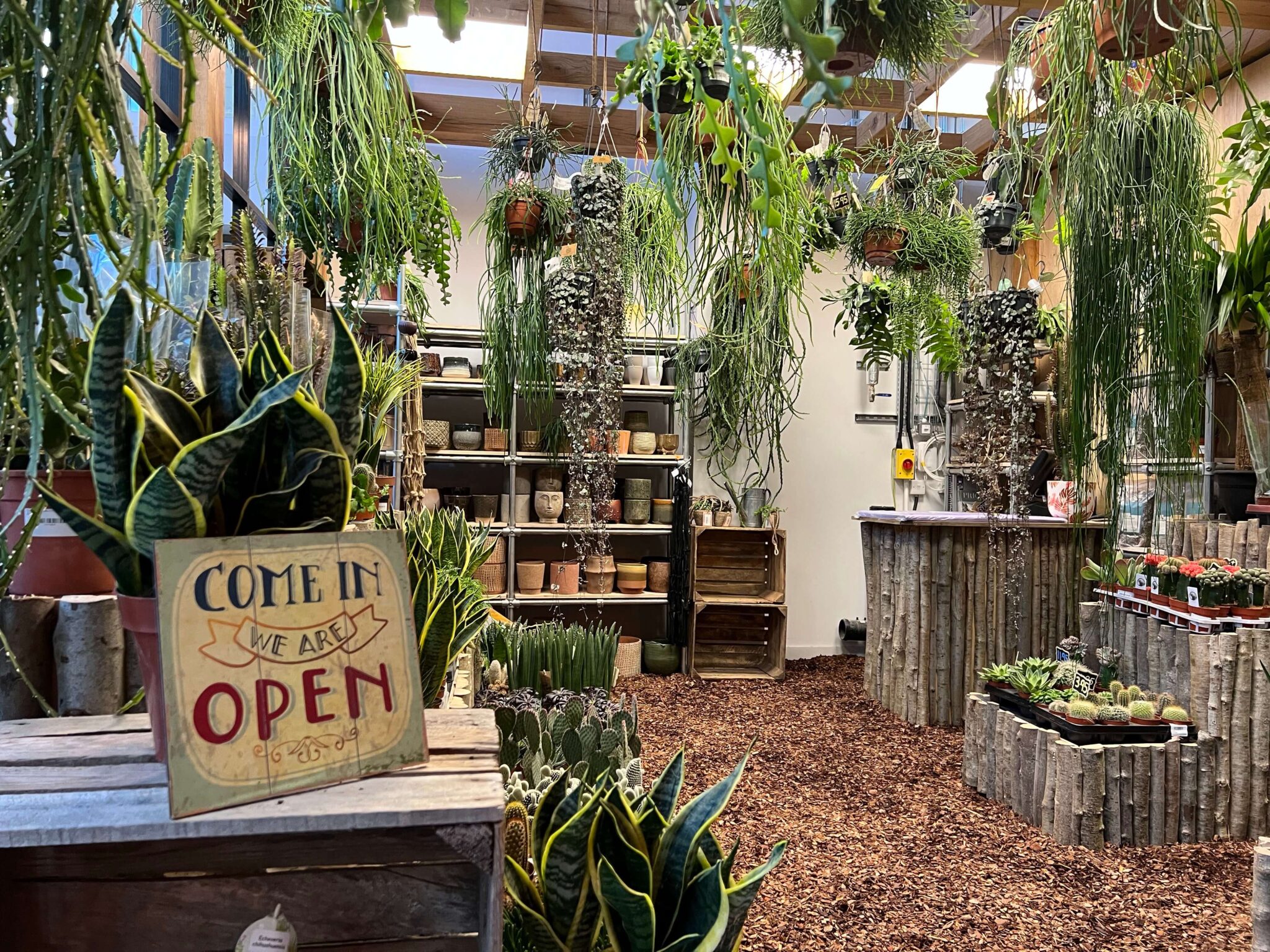 Purely Pots - Chester Market