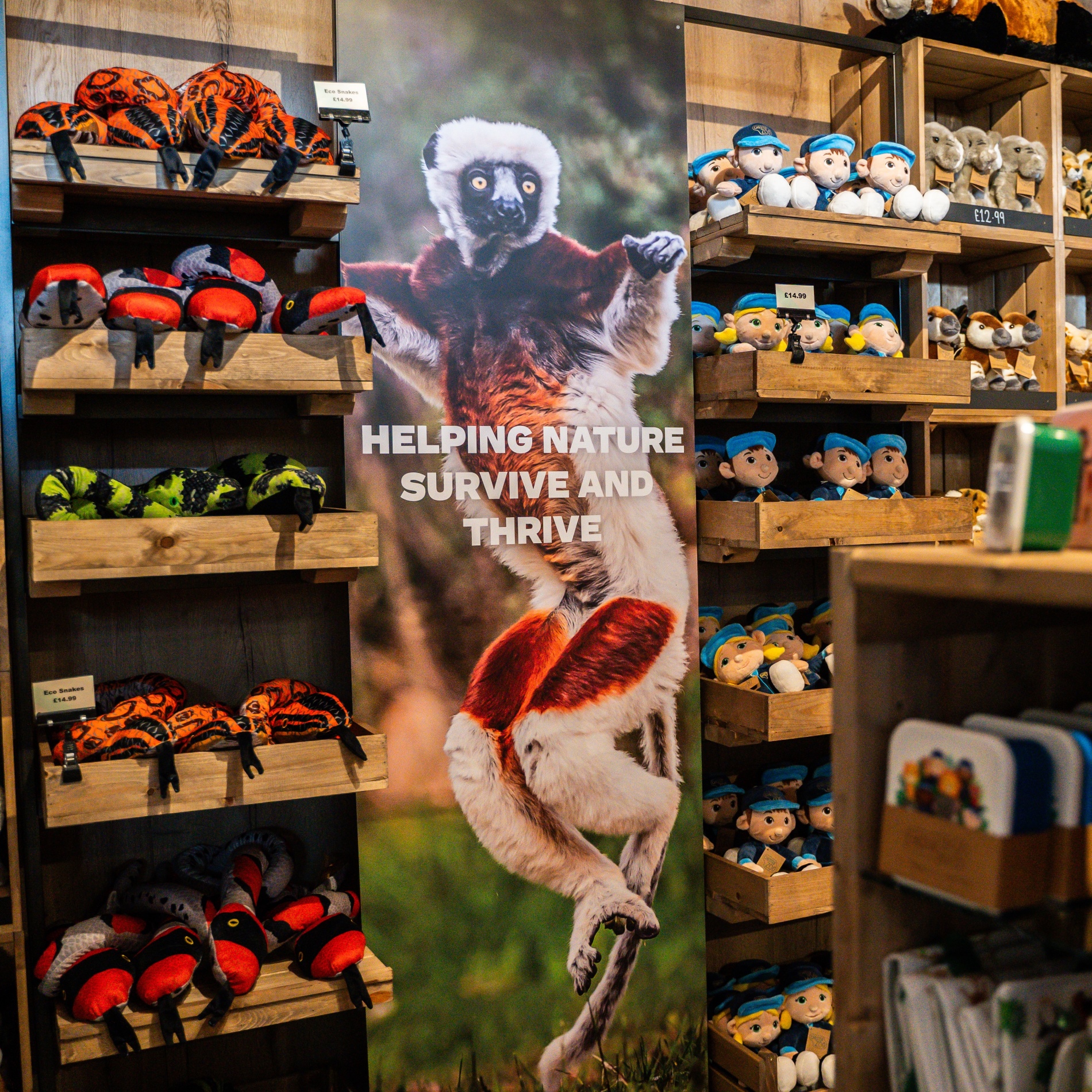 Chester Zoo - Chester Market