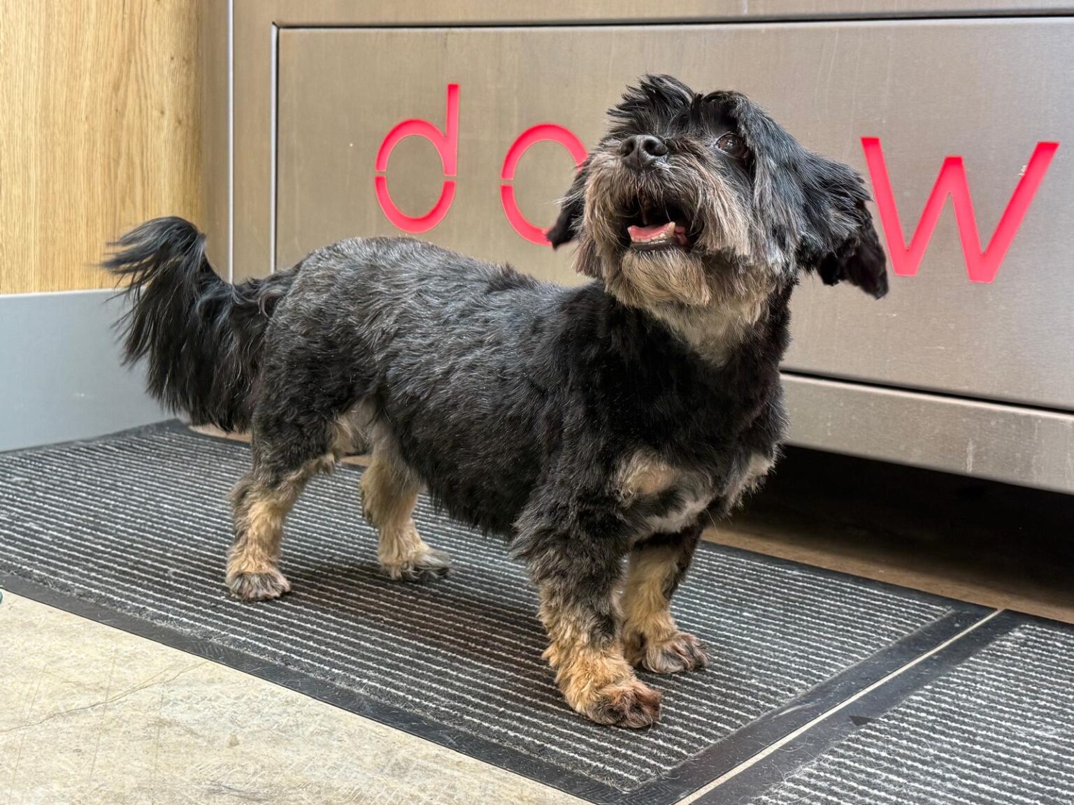 Trader Archive - Chester Market