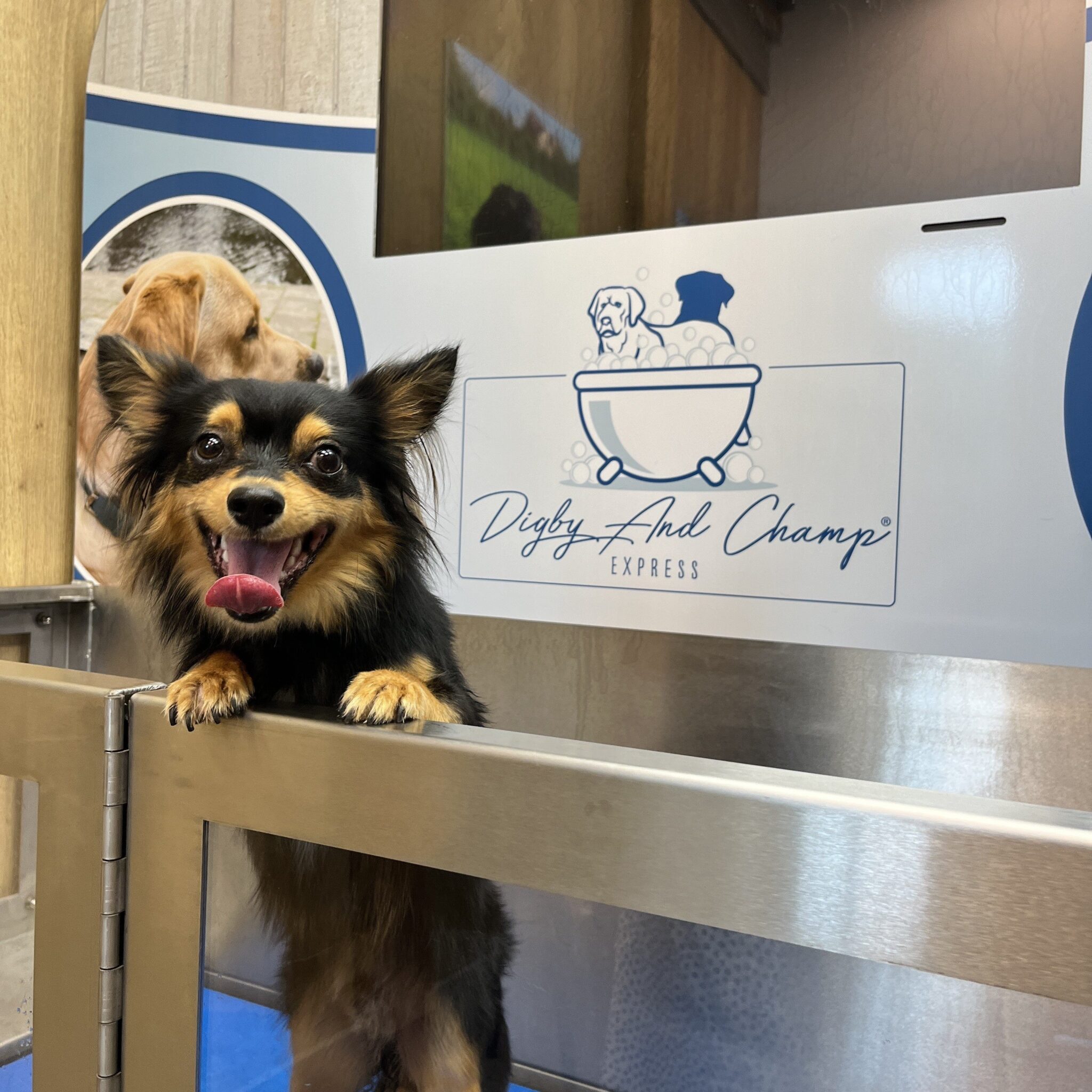 Home - Chester Market